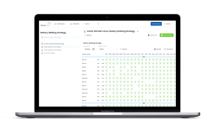 Ascend Analytics - MentorMate